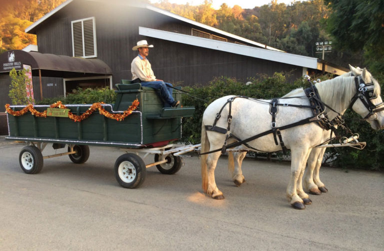 Services - Cinderella Carriages & Hay Wagon Rides | Savannah Rose Carriages